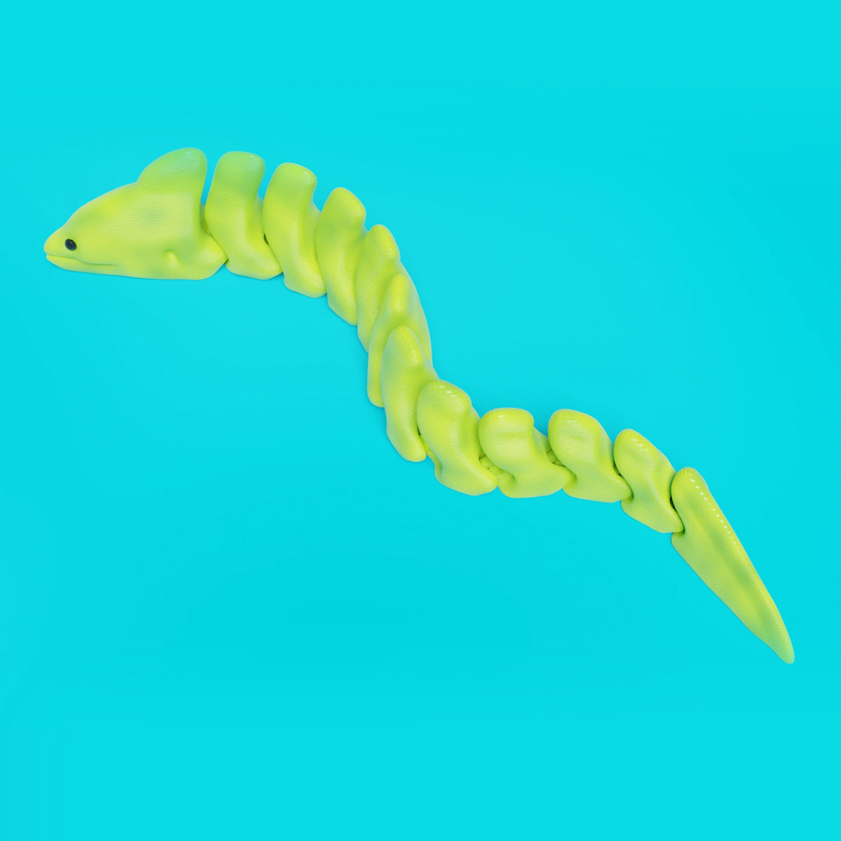 Electric Eel - Articulated Flexy Model – SOZO