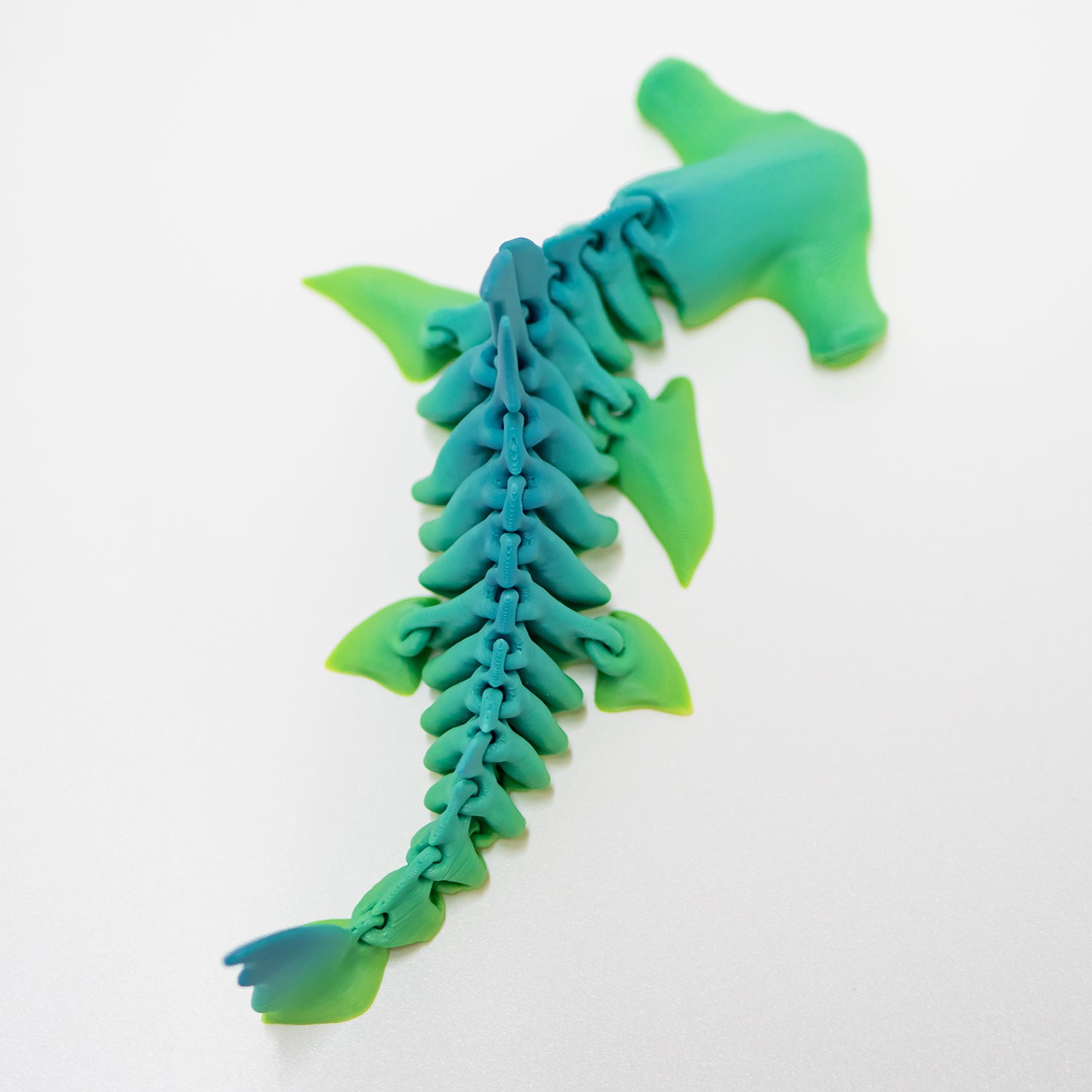 Skeleton Hammerhead Shark - Articulated Flexy Model – SOZO