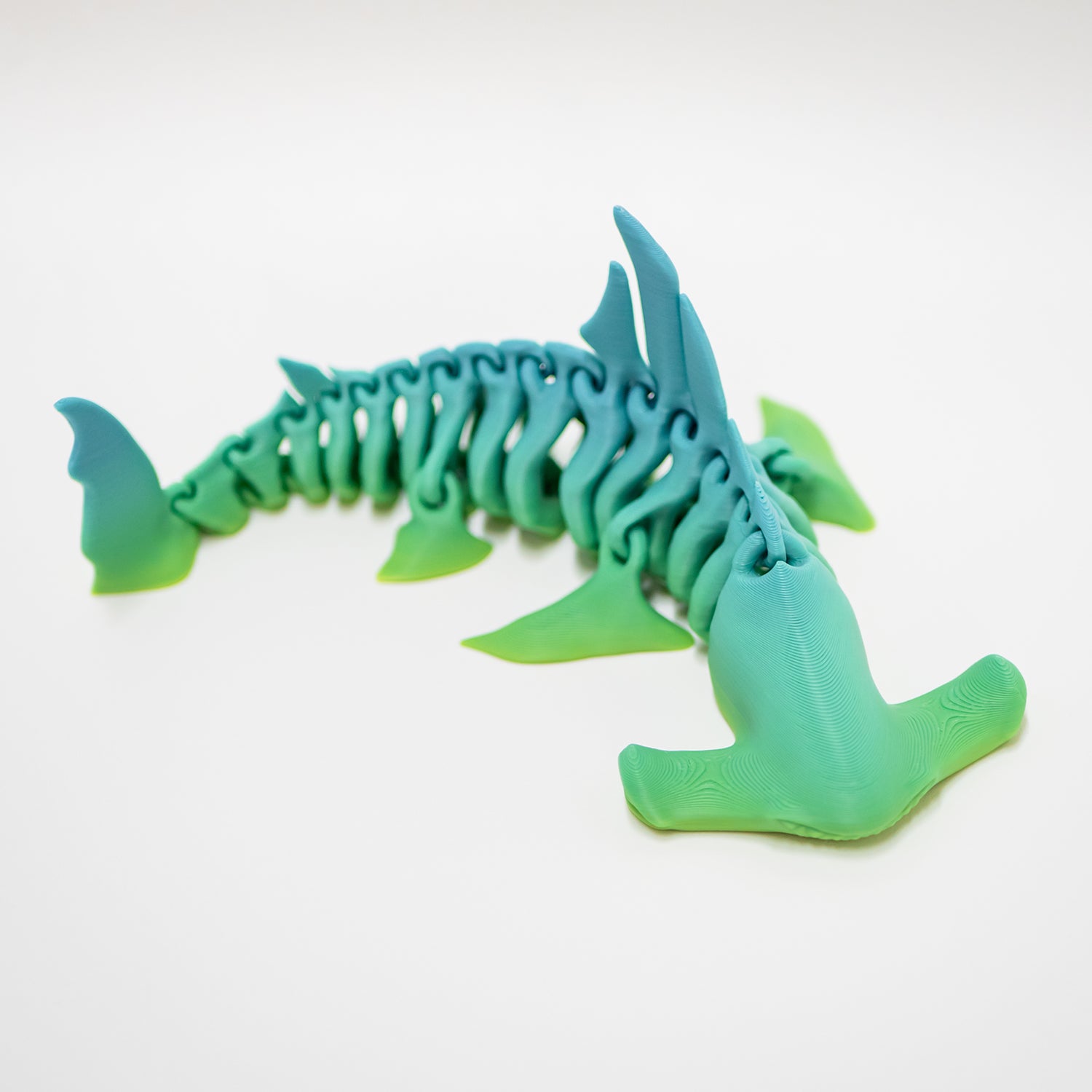 Skeleton Hammerhead Shark - Articulated Flexy Model – SOZO