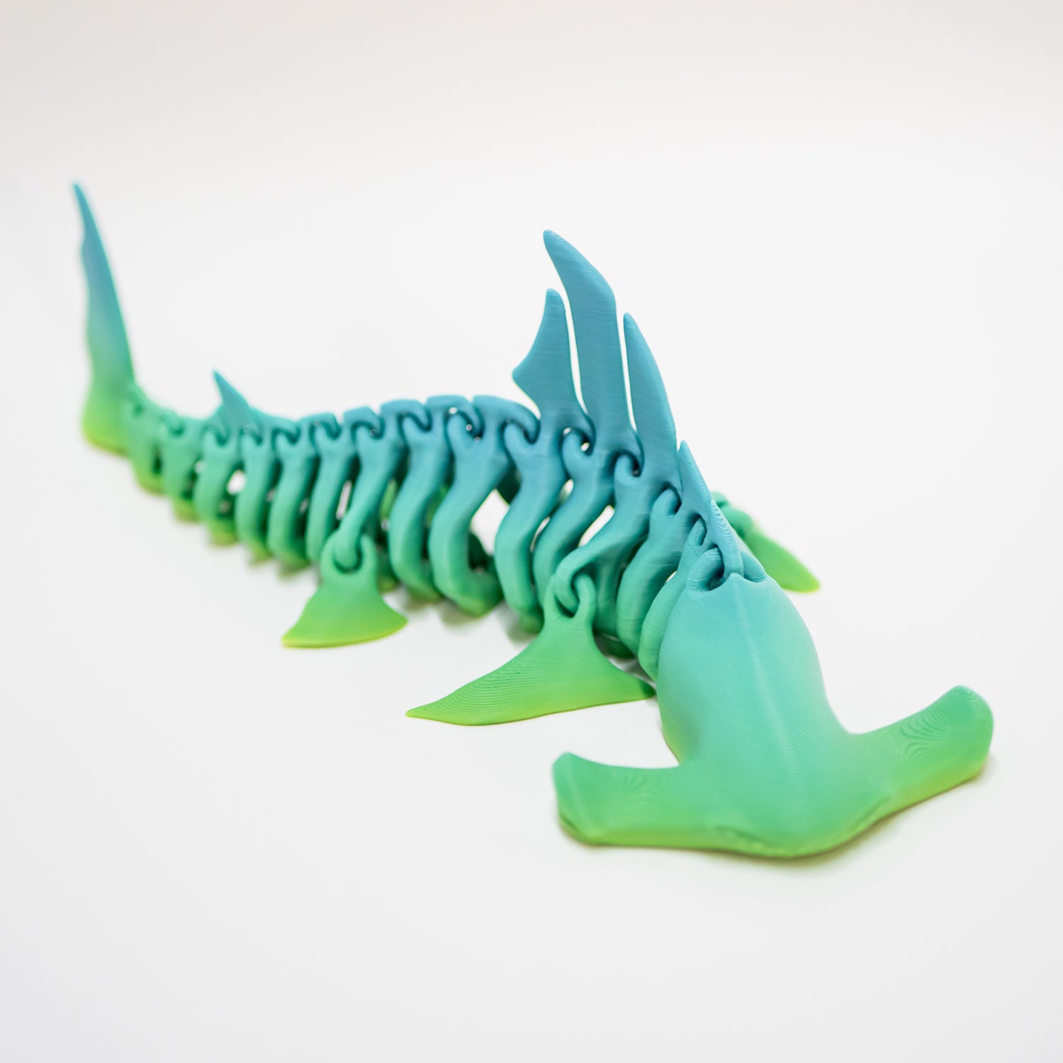 Skeleton Hammerhead Shark - Articulated Flexy Model – SOZO
